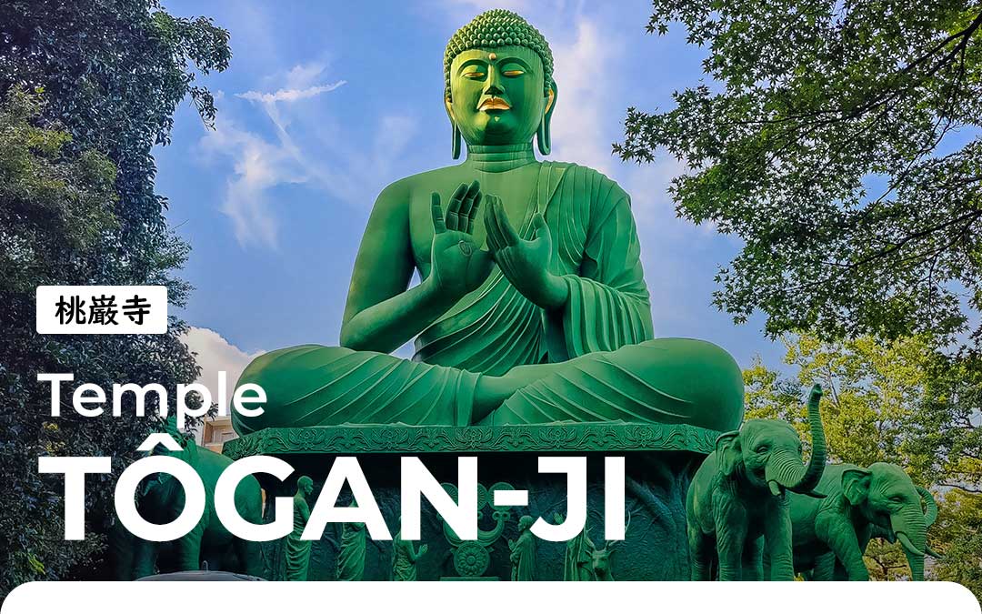 Togan-ji, l'incroyable temple caché de Nagoya - Projet Japon