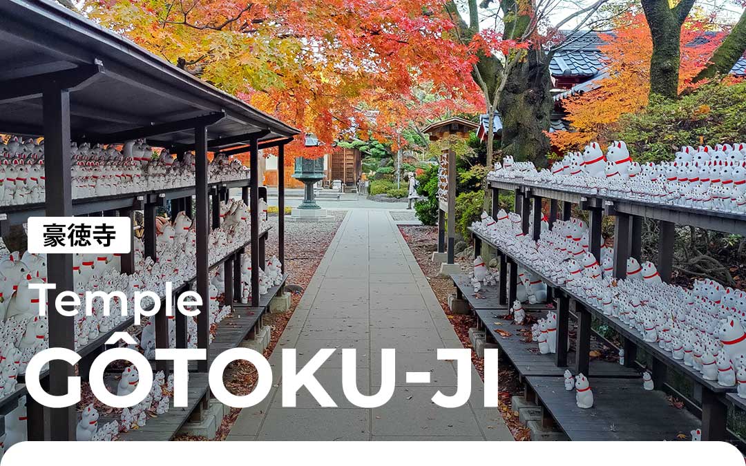 Gôtoku-ji : le temple aux milliers de maneki-neko - Projet Japon